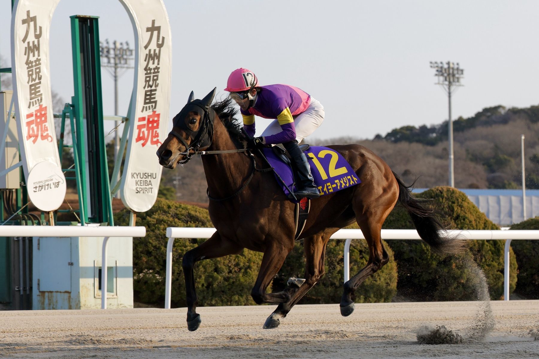 【佐賀競馬・第29回JRA交流たんぽぽ賞】エイヨーアメジスト人気に応えて圧勝｜競馬ニュース｜競馬TOP｜西スポレースサイト